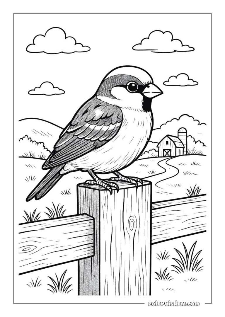 Bird Coloring Pages for Nature Lovers - Free download