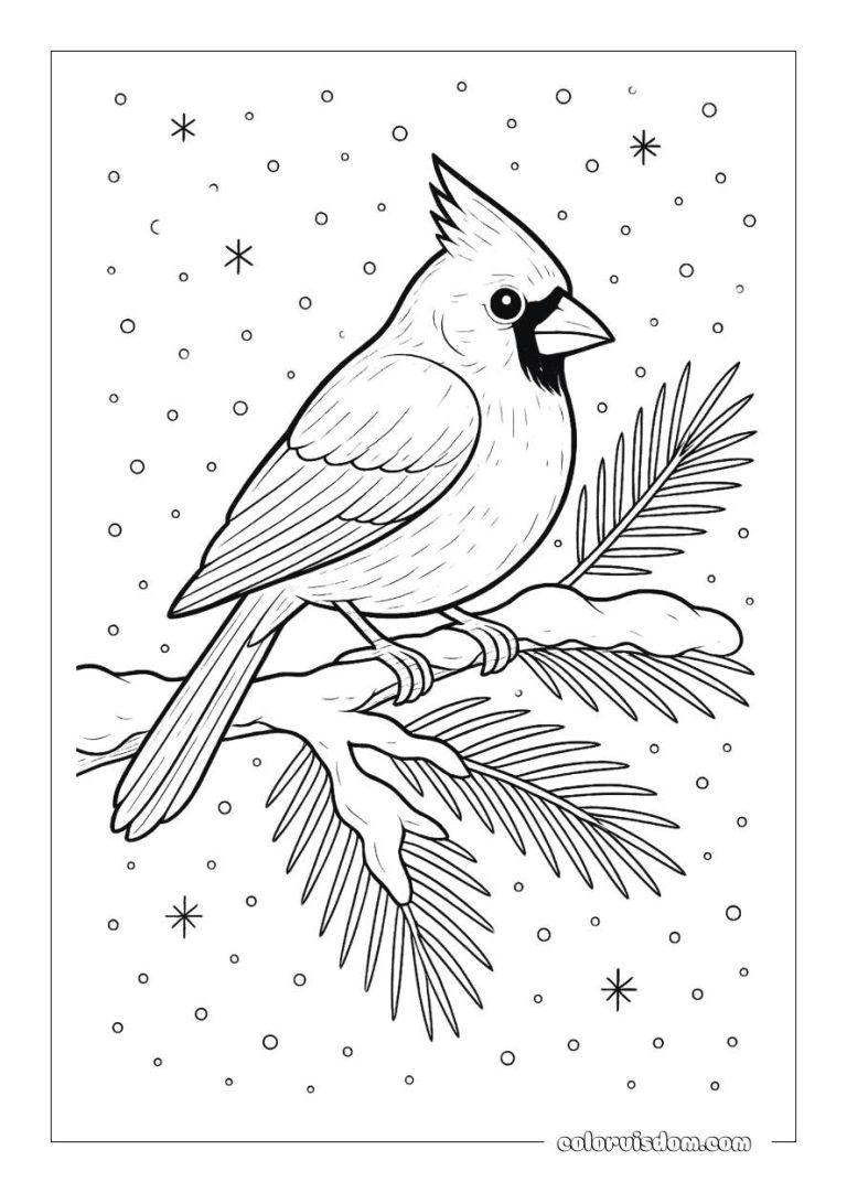 Bird Coloring Pages for Nature Lovers - Free download
