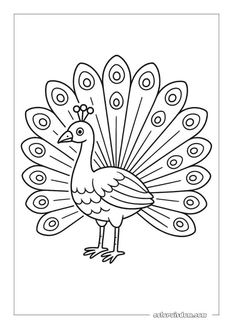 Bird Coloring Pages for Nature Lovers - Free download