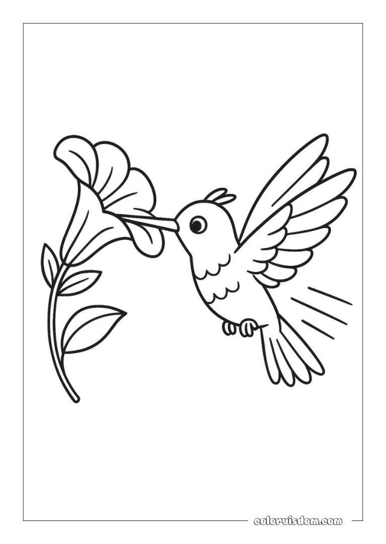 Bird Coloring Pages for Nature Lovers - Free download